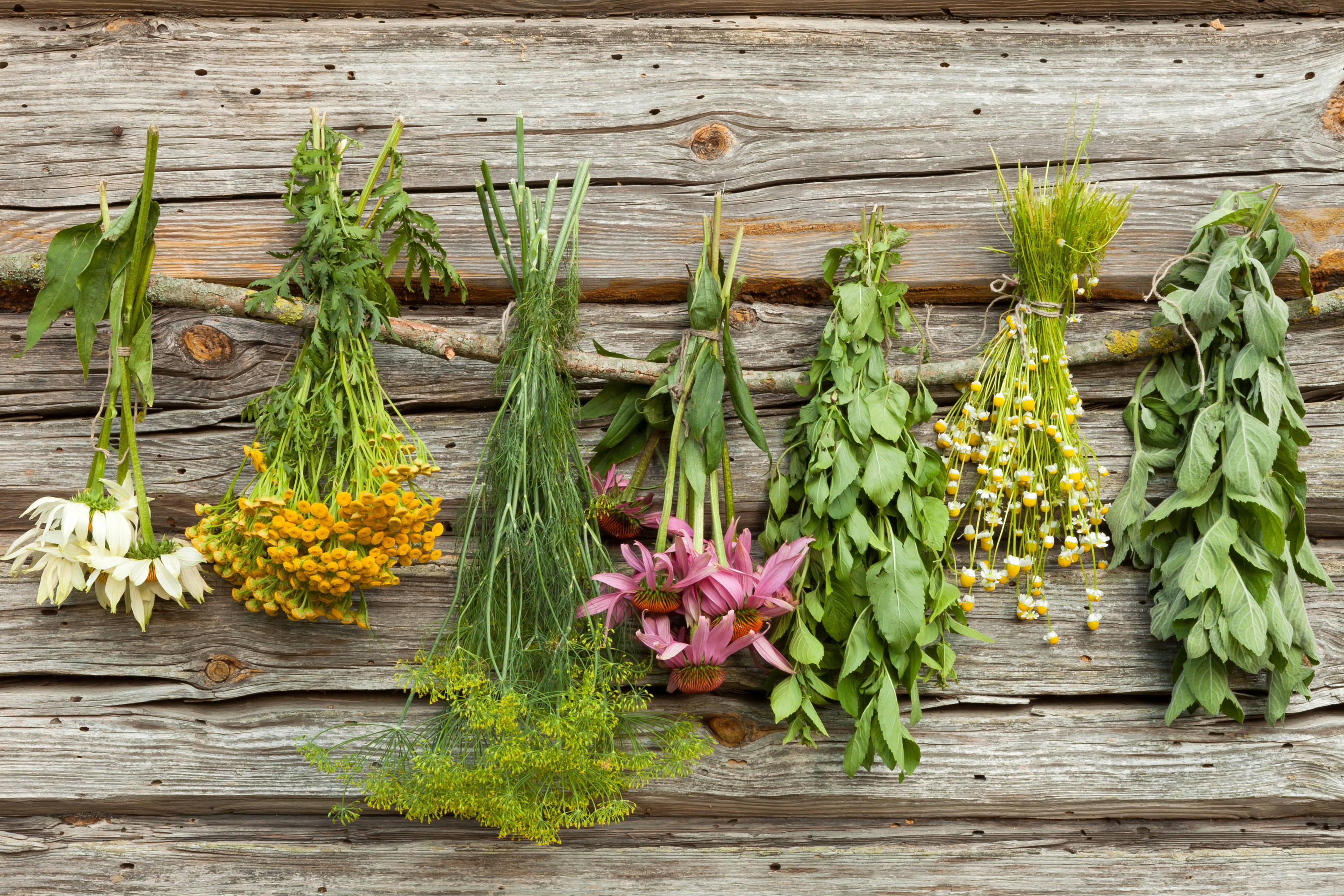 Green Goo redefines natural body care with purposeful, plant-based ...